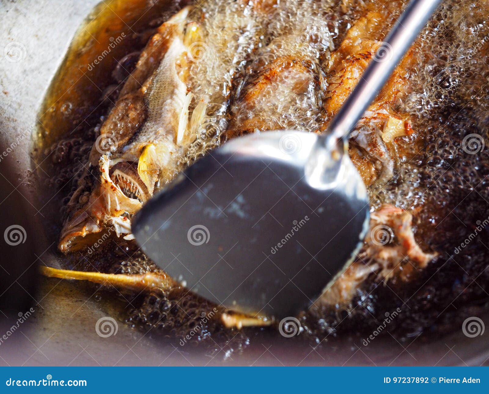 Cooking fish in pan stock photo. Image of delicious, cooking - 97237892