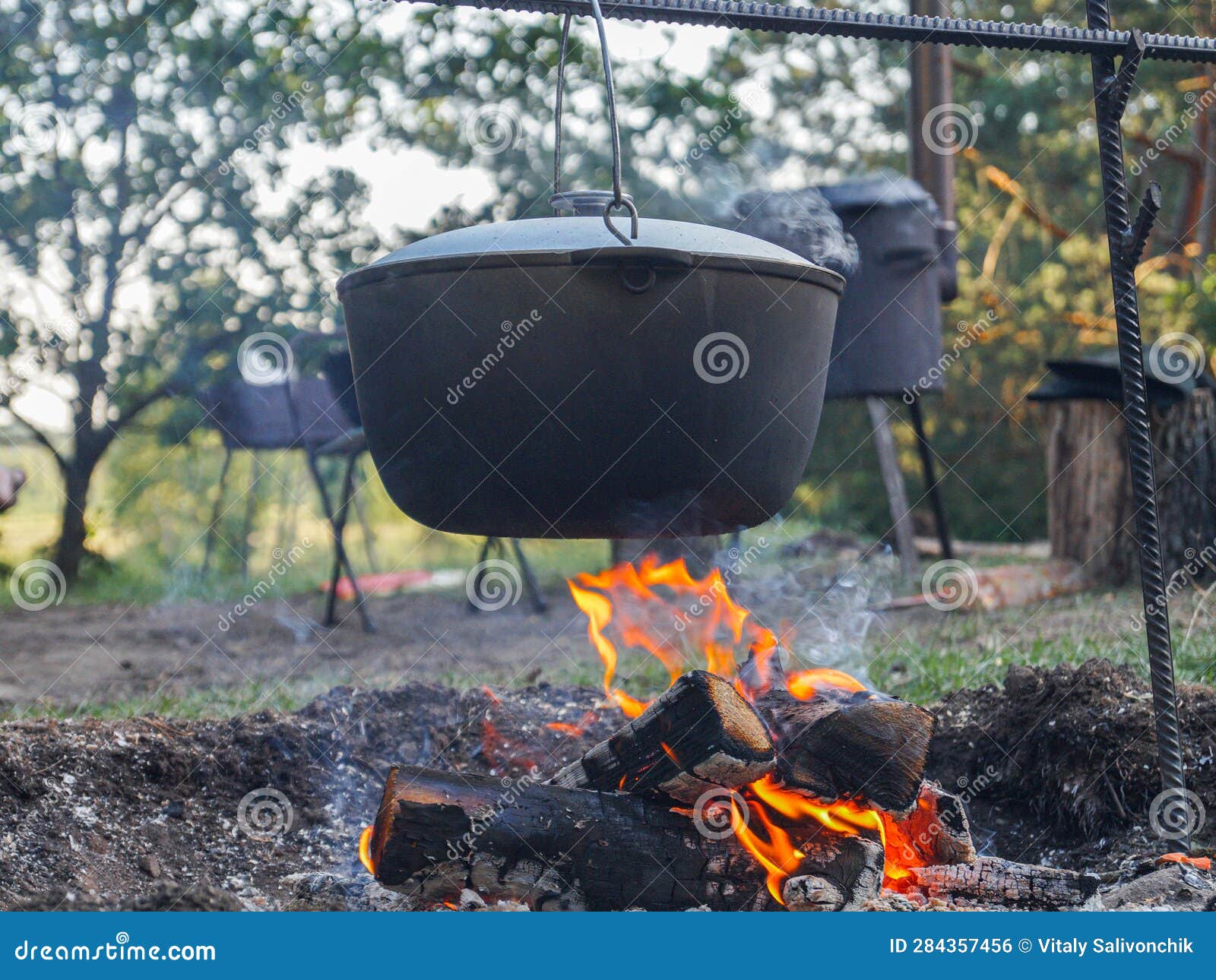 Cooking food on fire stock photo. Image of backyard - 284357456