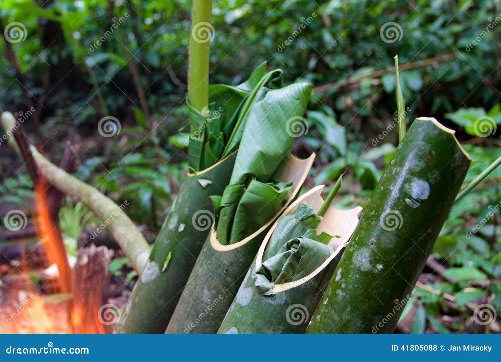 Cooking in Forest in Bamboo Stock Photo - Image of tasty, foliage: 41805088
