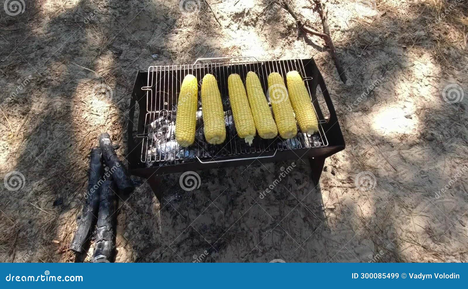 Cooking Fresh Corn on the Grill at the Campsite Stock Video - Video of ...