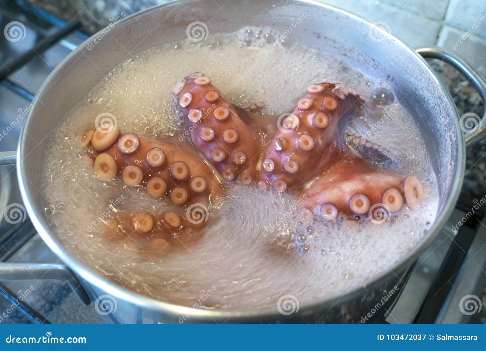 Cooking fresh octopus stock image. Image of cook, boiling - 103472037