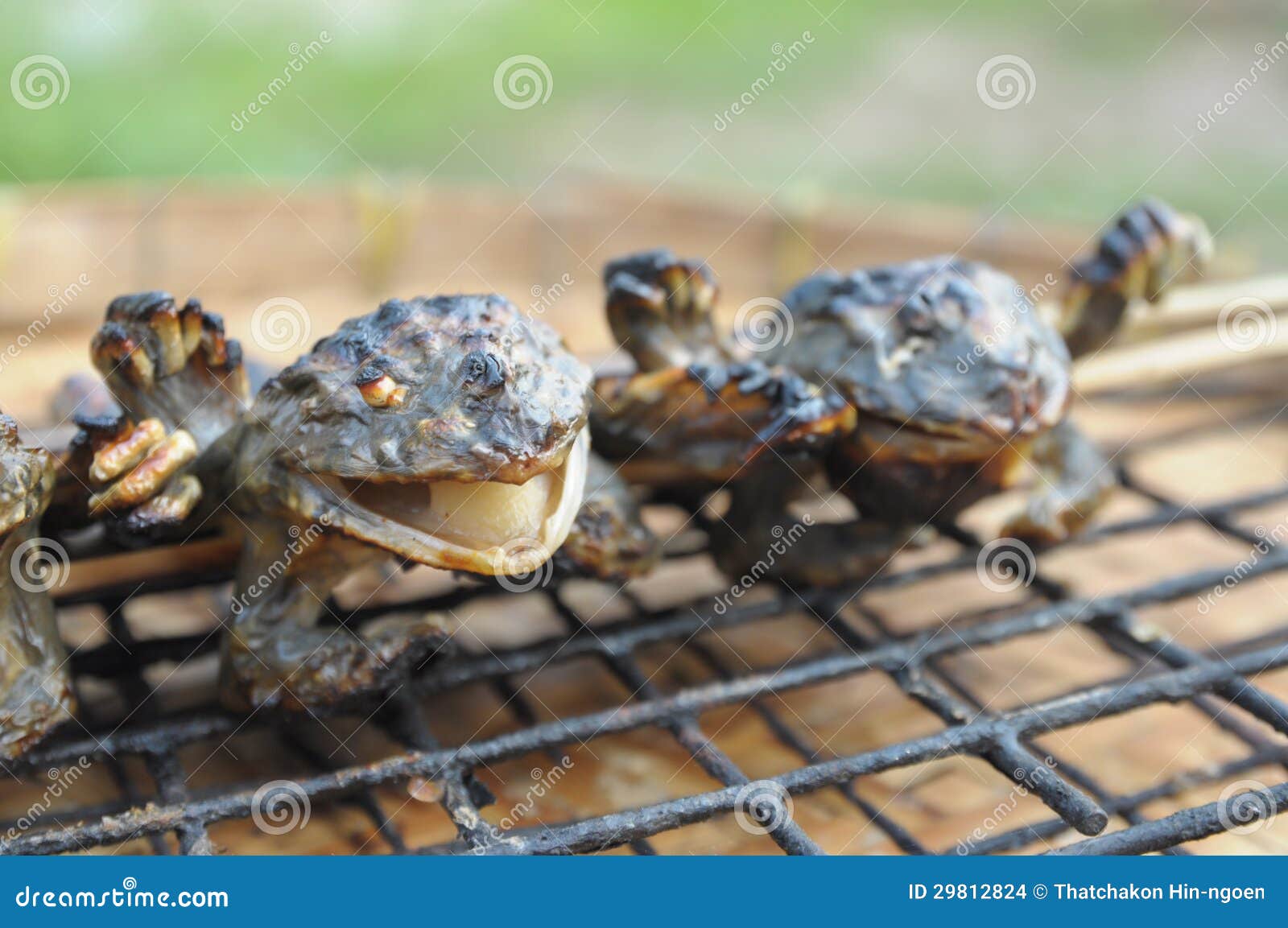 Cooking of grill frog stock photo. Image of taste, barbecue - 29812824