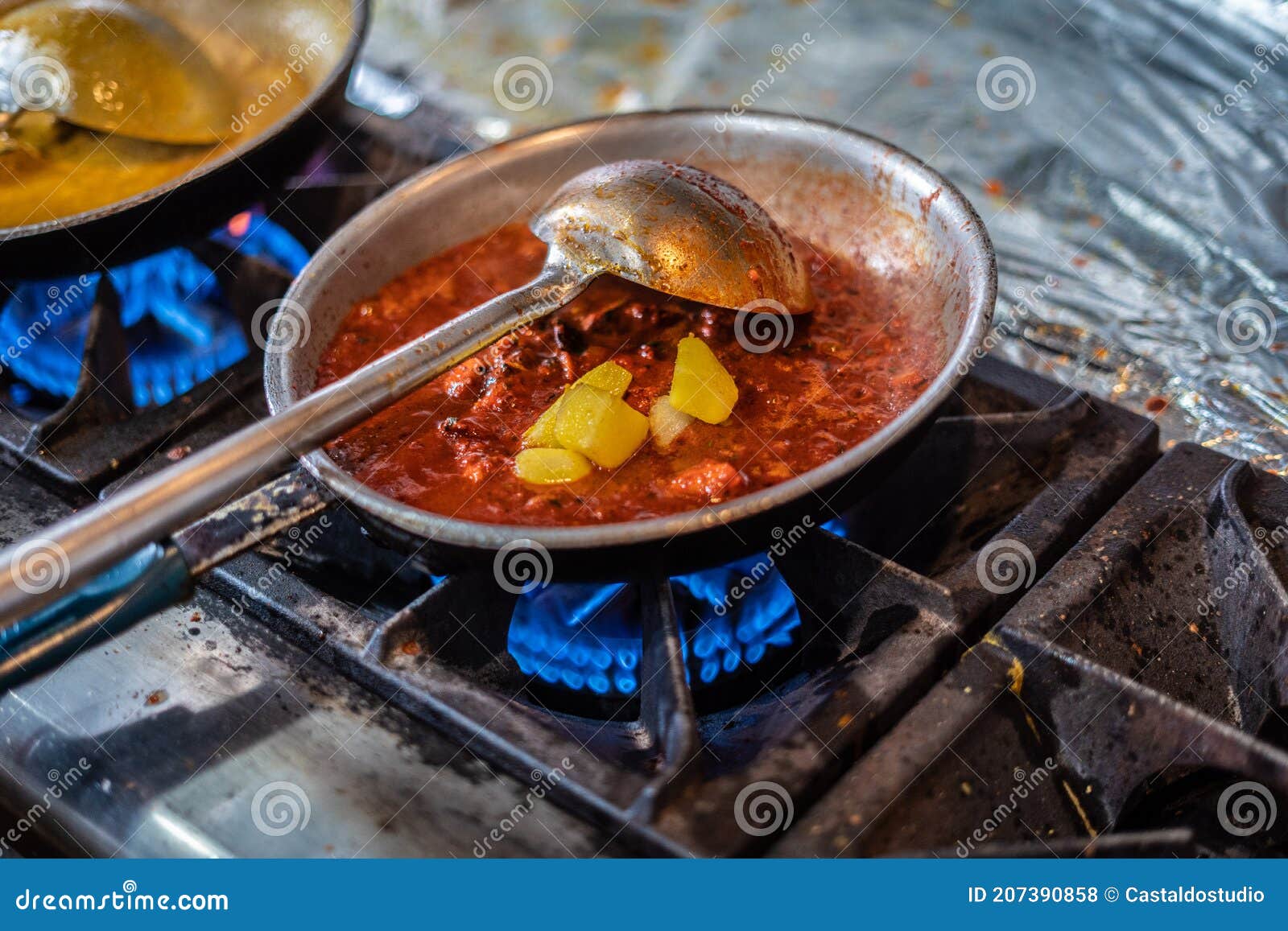 Cooking Indian Style Cuisine Stock Photo - Image of cook, curry: 207390858