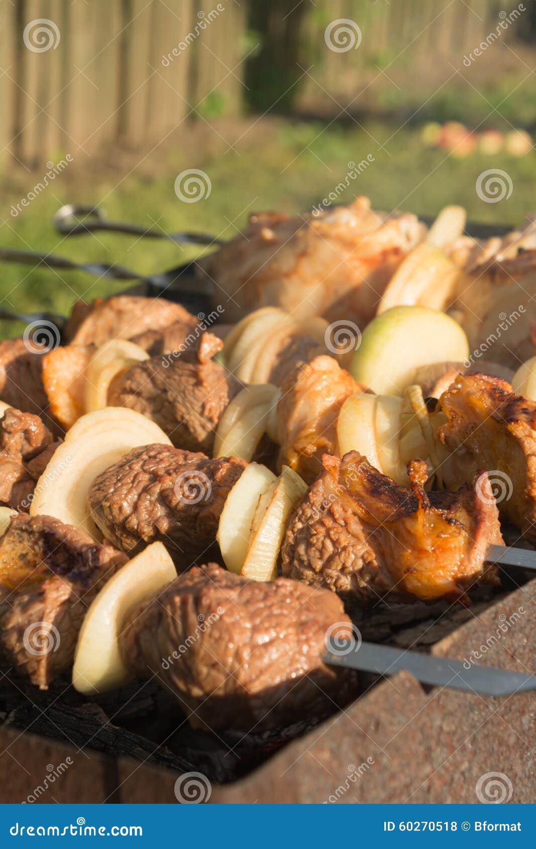 Cooking kebab in garden stock photo. Image of kebab, onion - 60270518