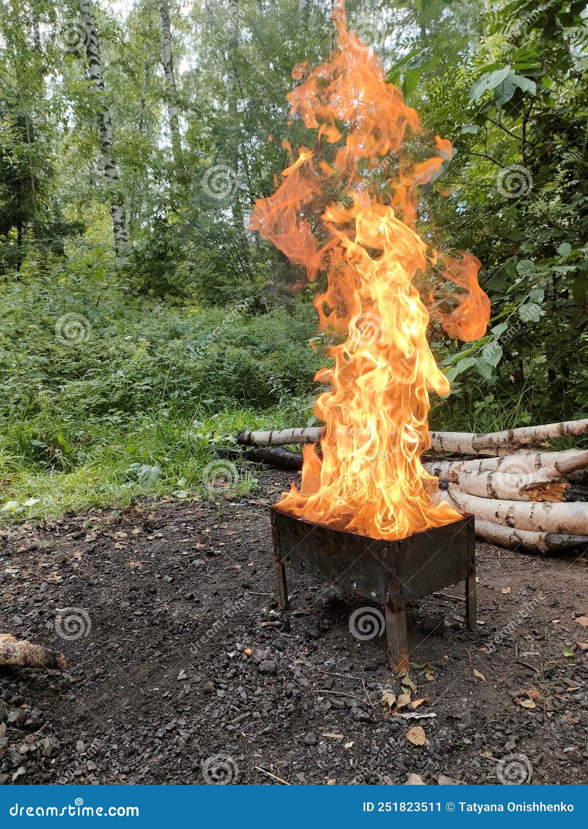 Cooking Kebabs in the Forest Stock Image - Image of autumn, soil: 251823511