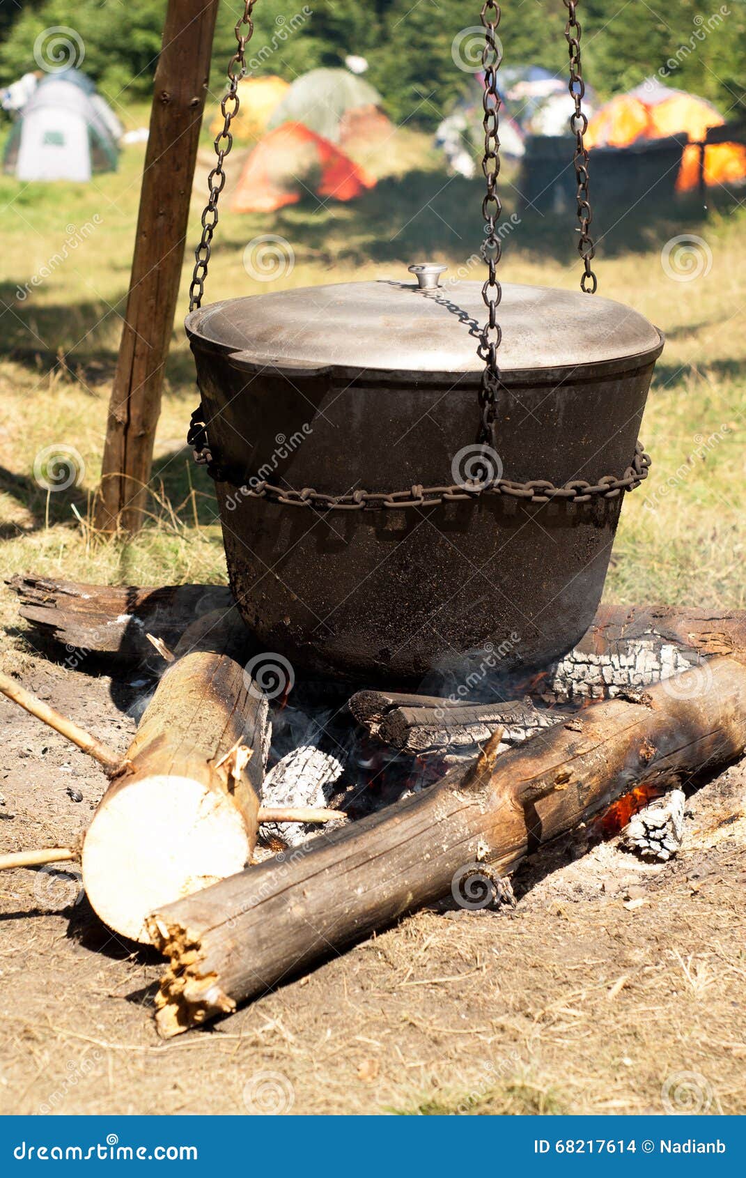 Cooking in a Large Pot on the Fire. Stock Photo - Image of forest ...