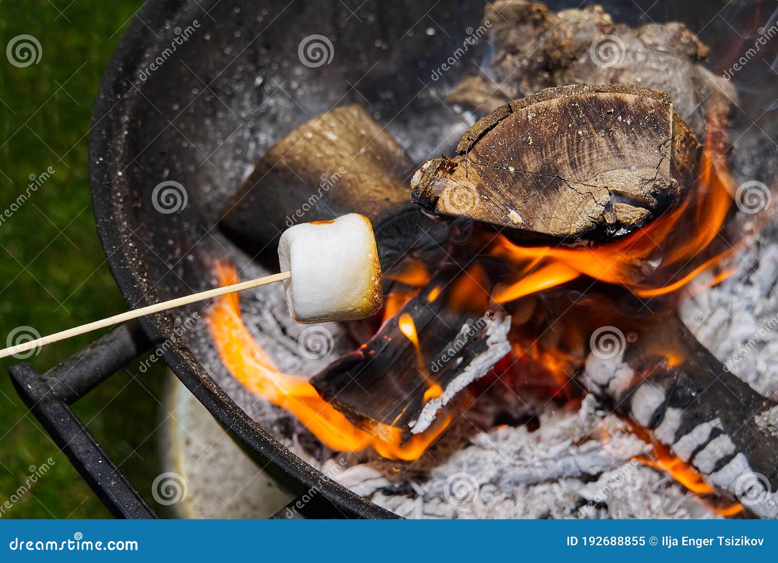 Cooking Marshmallow on Wooden Stick Over Fire. Stock Image - Image of ...