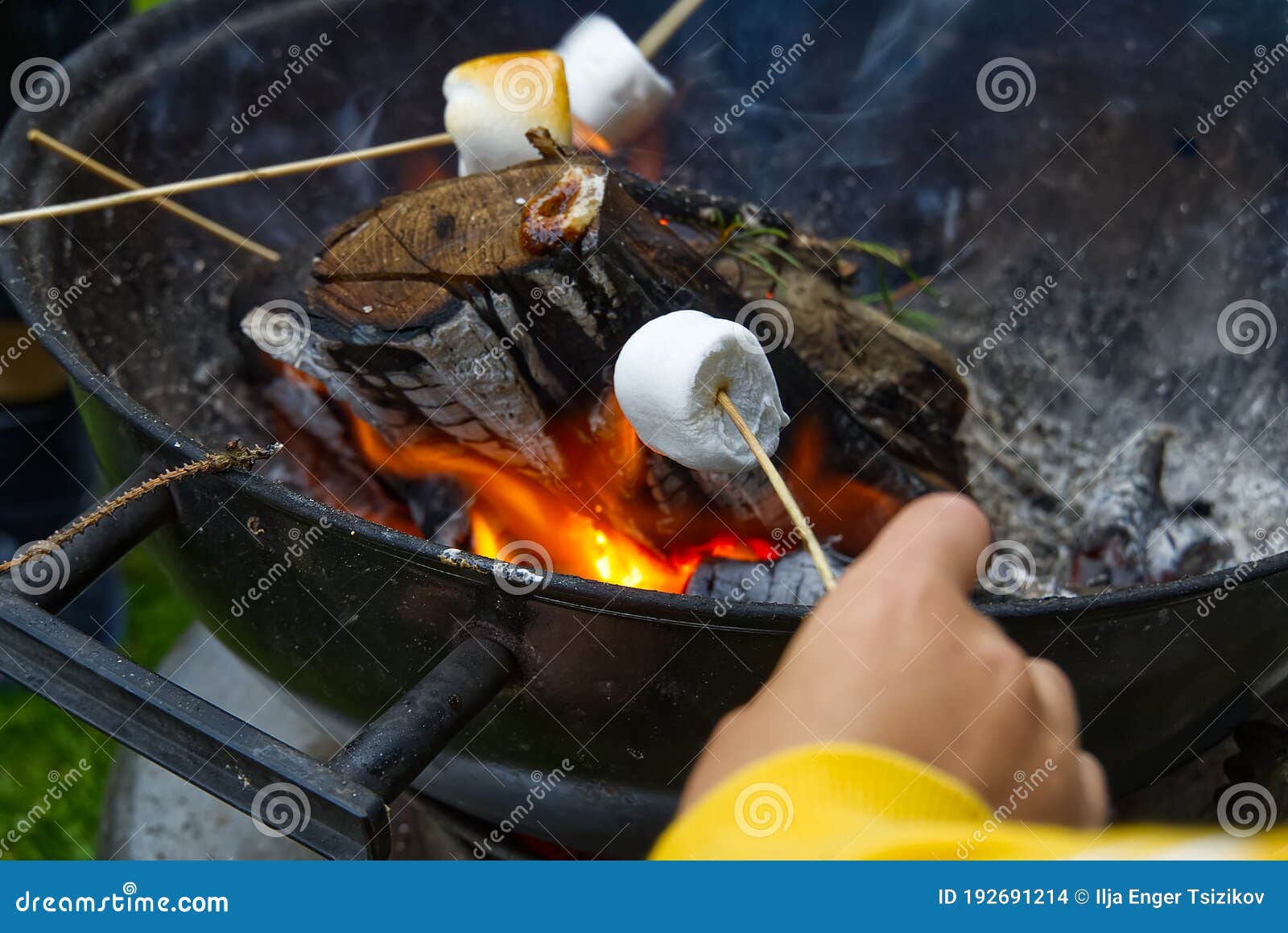 Cooking Marshmallow on Wooden Stick Over Fire. Stock Photo - Image of ...