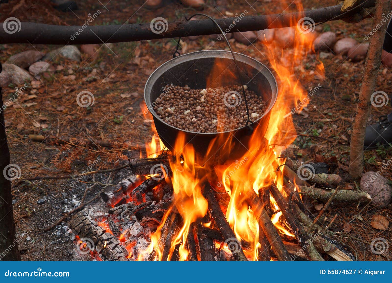 Cooking a Meal in the Forest Stock Image - Image of iron, cooking: 65874627