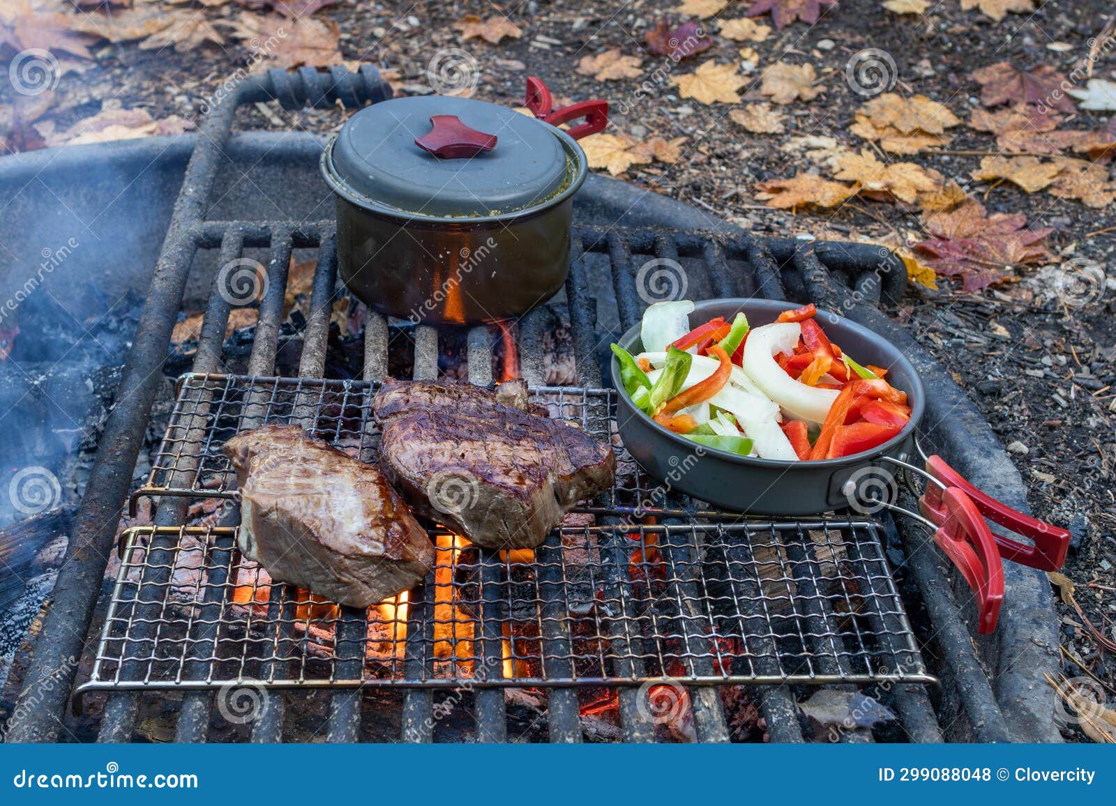 Cooking a Meal Over Camp Fire Stock Photo - Image of meat, season ...