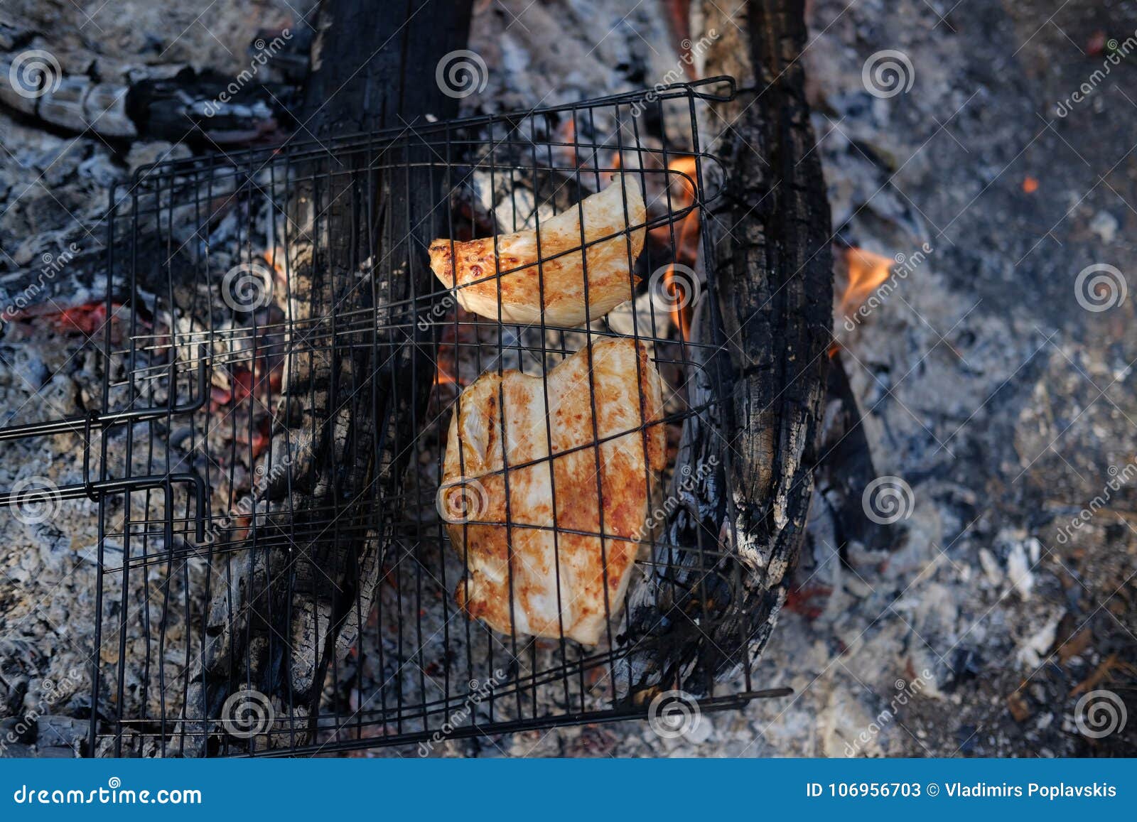 Cooking meat on a fire. stock image. Image of energy - 106956703