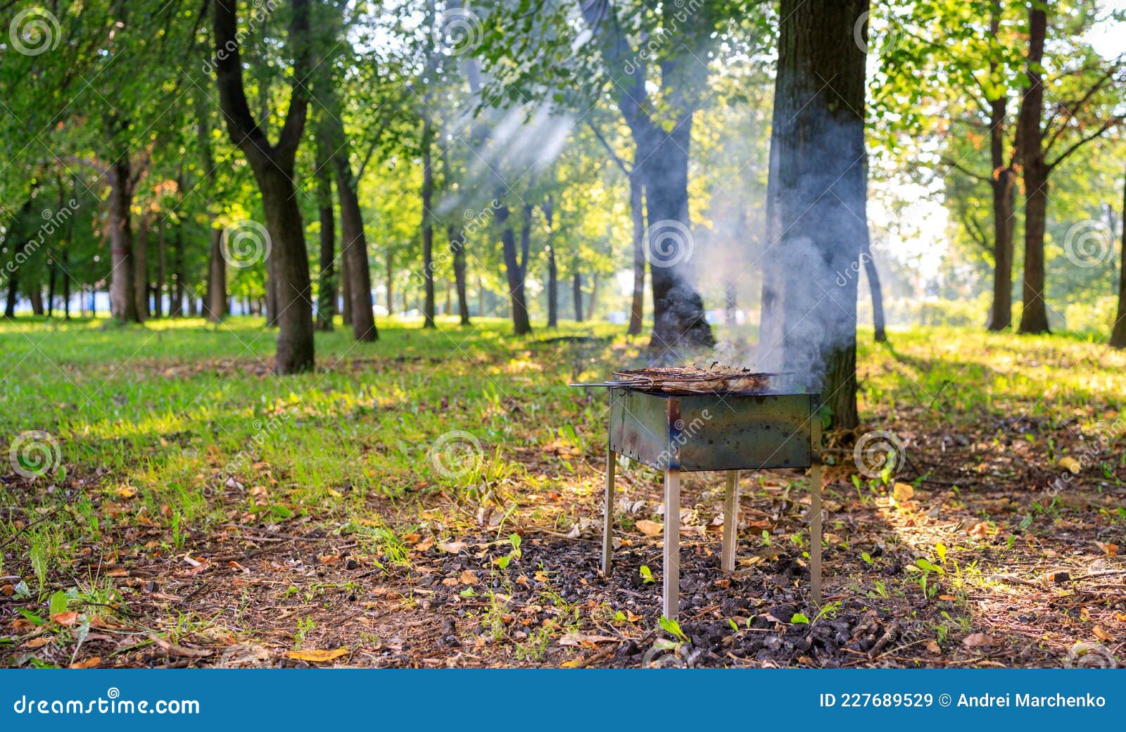 Cooking Meat on the Grill, the Grill is in Nature among the Trees Stock ...