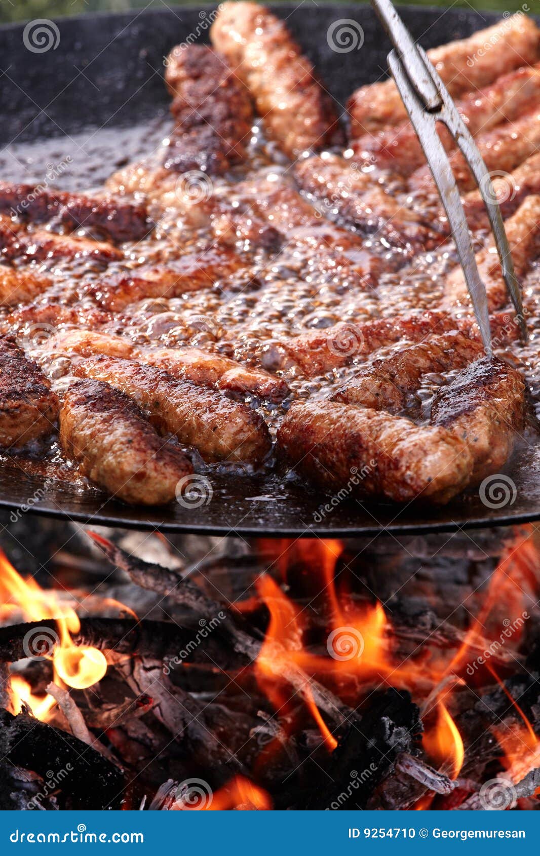 Cooking meet stock photo. Image of camp, barbecue, roasted - 9254710