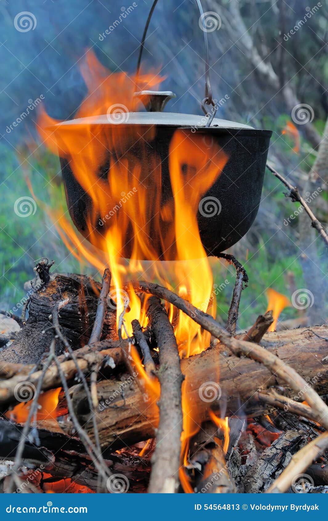 Cooking in the nature stock image. Image of dinner, bonfire - 54564813