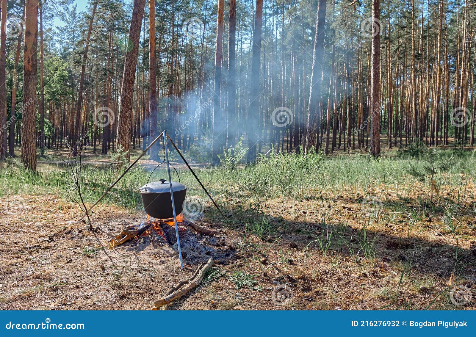 Cooking in Nature. Weekend in a Pine Forest Stock Photo - Image of ...