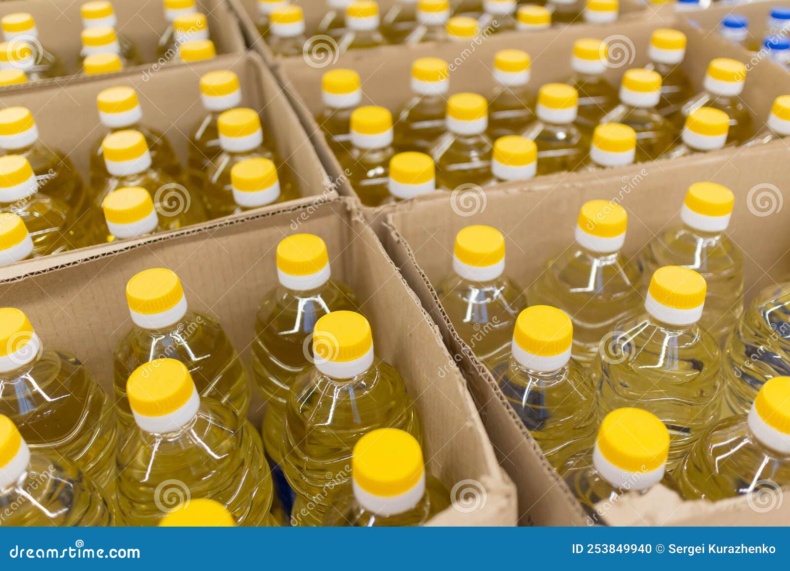 Cooking Oil Bottles in a Box Stock Photo - Image of fresh, nutrition ...