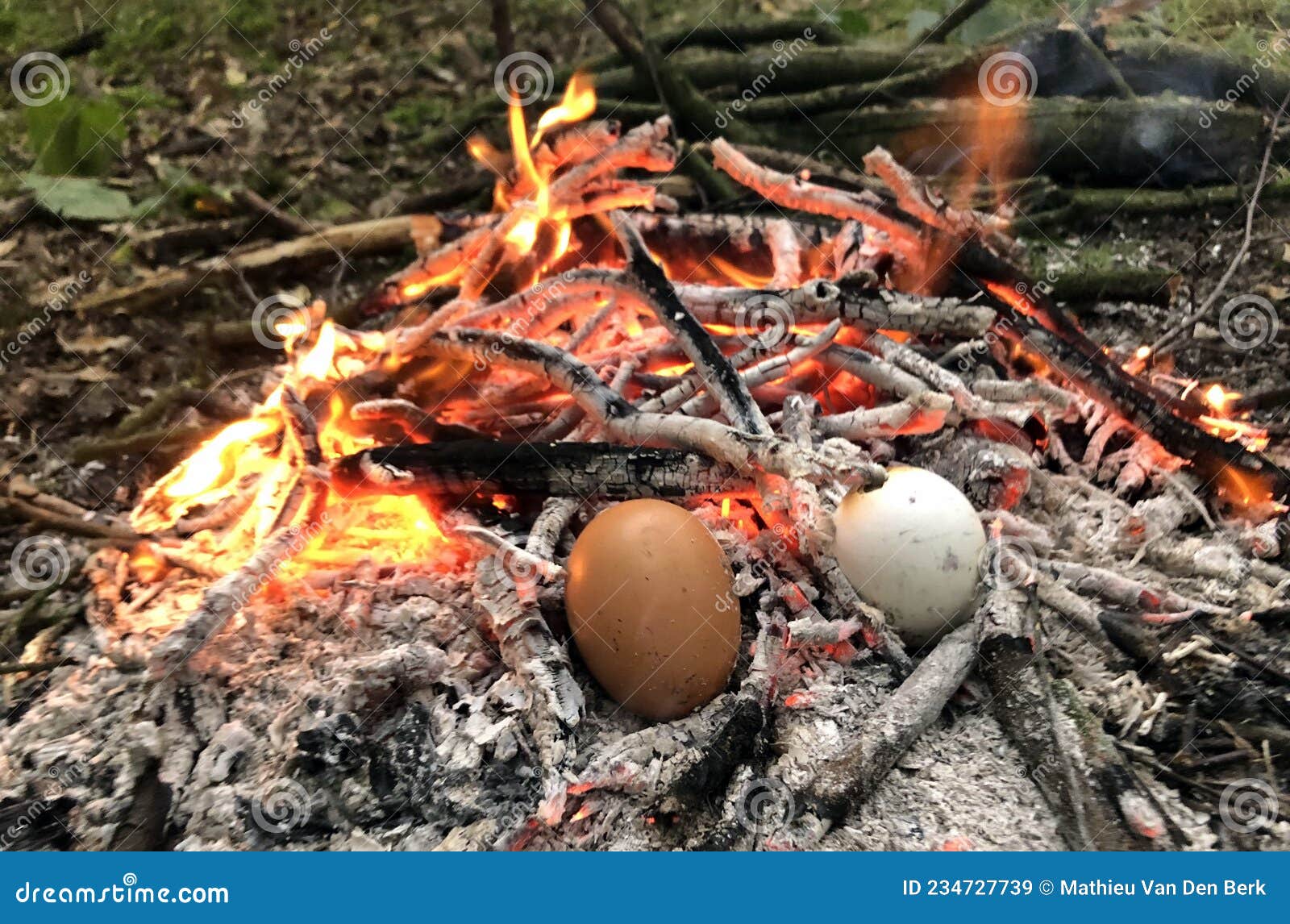 Cooking on an Open Fire during Bushcraft in the Woods Stock Image ...