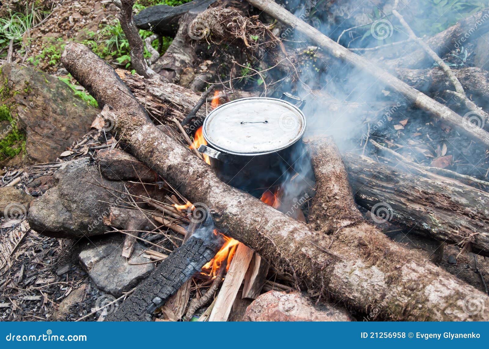 Cooking over the fire stock photo. Image of ashes, cook - 21256958