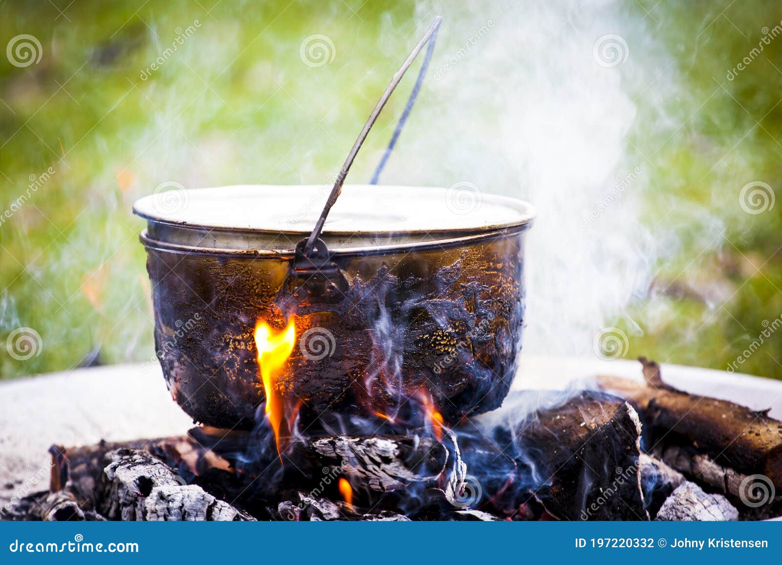 Cooking Over Open Fire Outdoors in the Forest Stock Photo - Image of ...