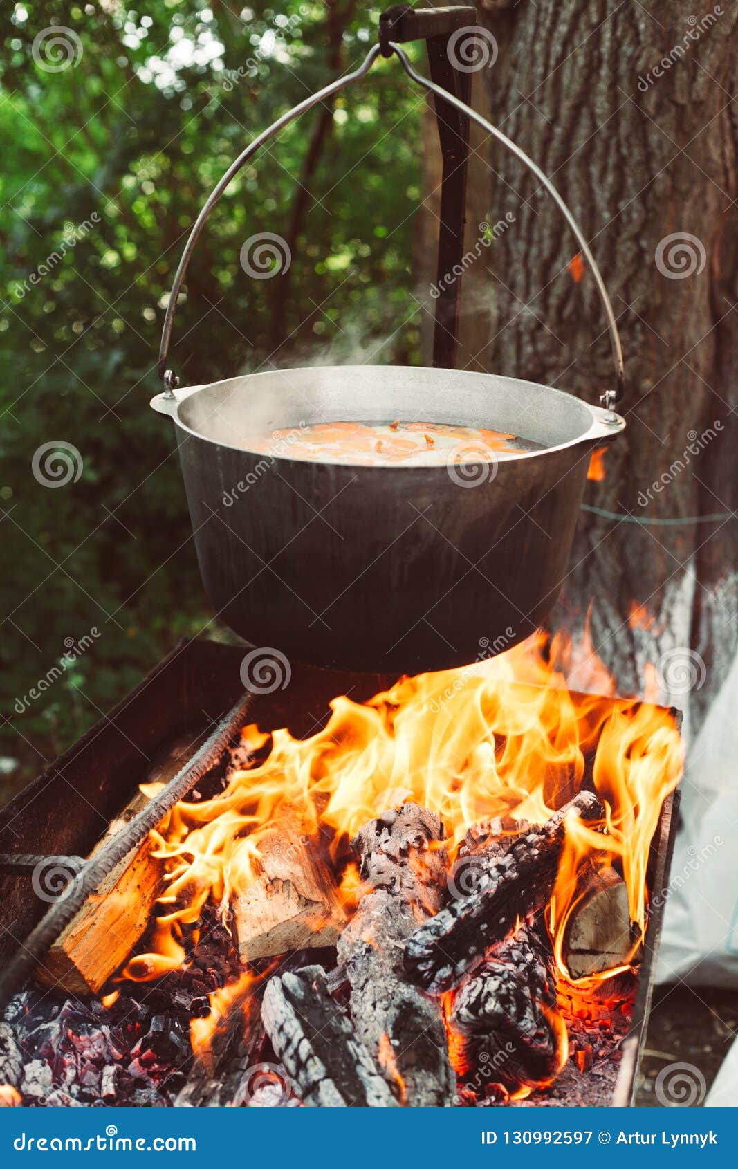 Cooking in a Pot on the Fire Stock Image - Image of lifestyle, campfire ...