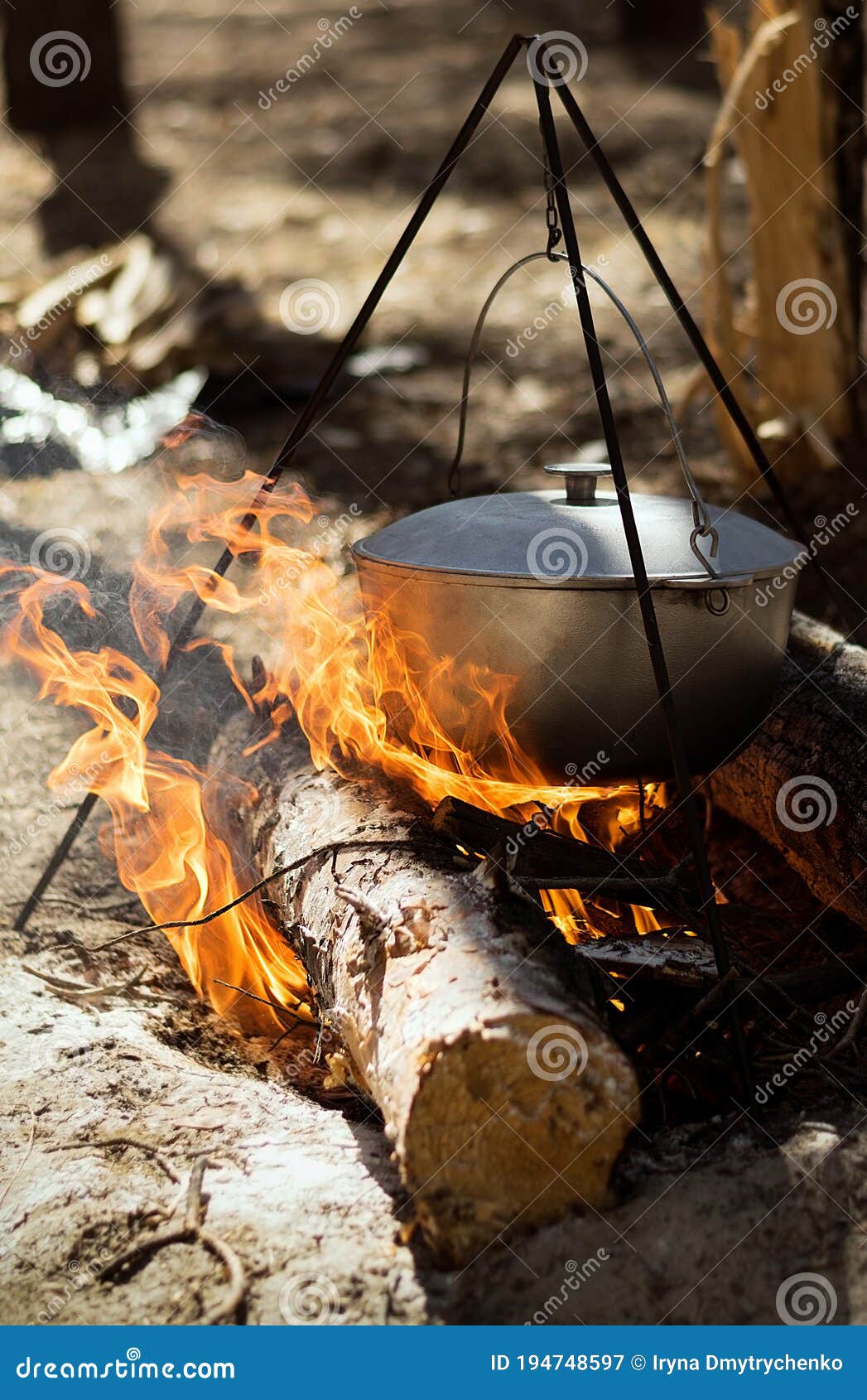 Cooking in a Pot on a Fire. Stock Image - Image of forest, heat: 194748597