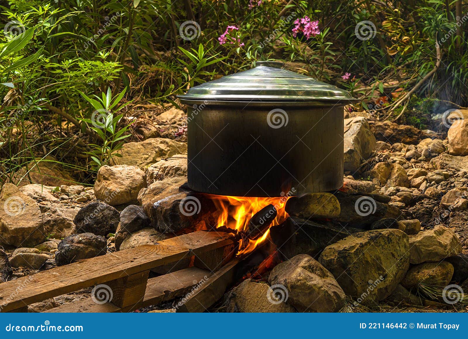 Cooking in a Pot Over a Campfire Stock Photo - Image of kitchen, nature ...