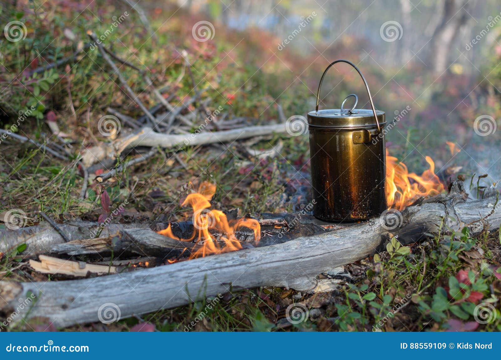 Cooking in a Pot Over the Fire. Stock Image - Image of cooking, hike ...
