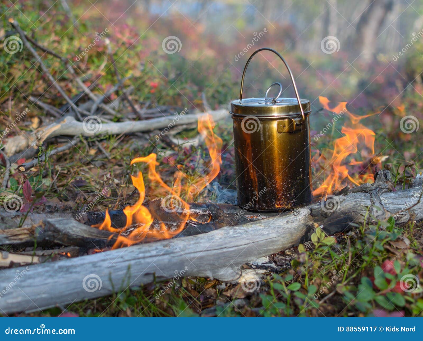 Cooking in a Pot Over the Fire. Stock Image - Image of tourism, smoke ...