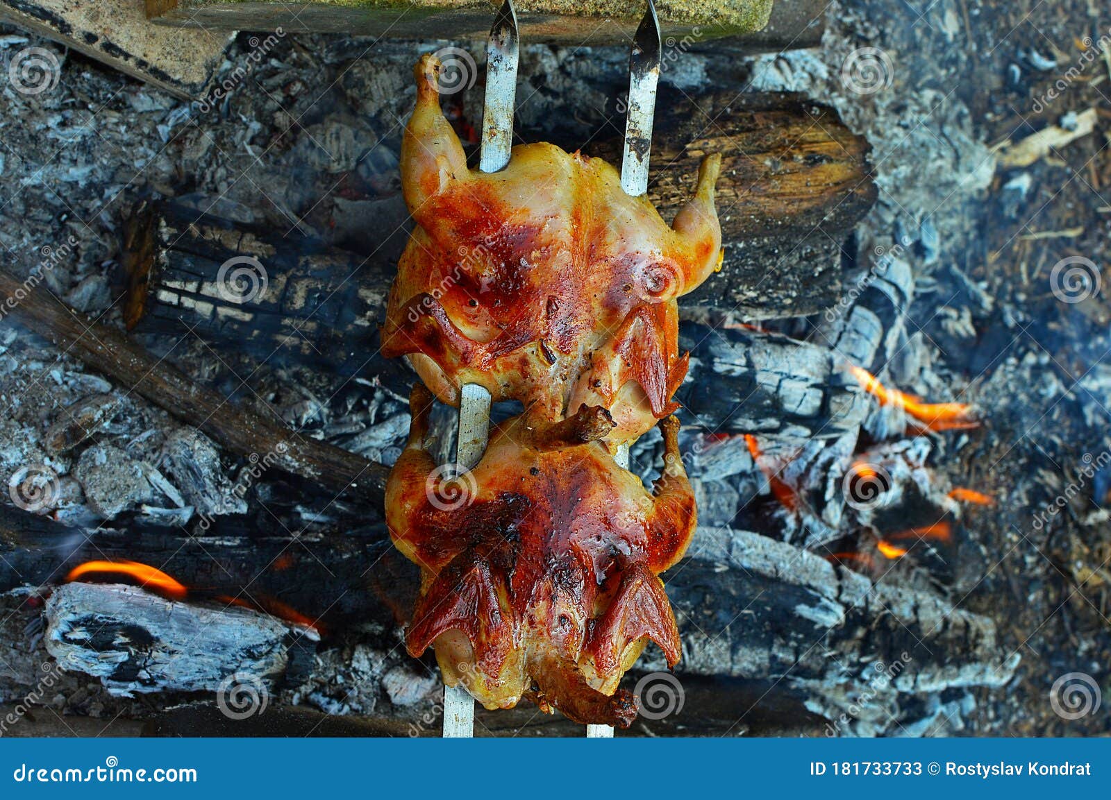 Cooking Quail Meat on a Firewood Fire Stock Image - Image of outdoors ...