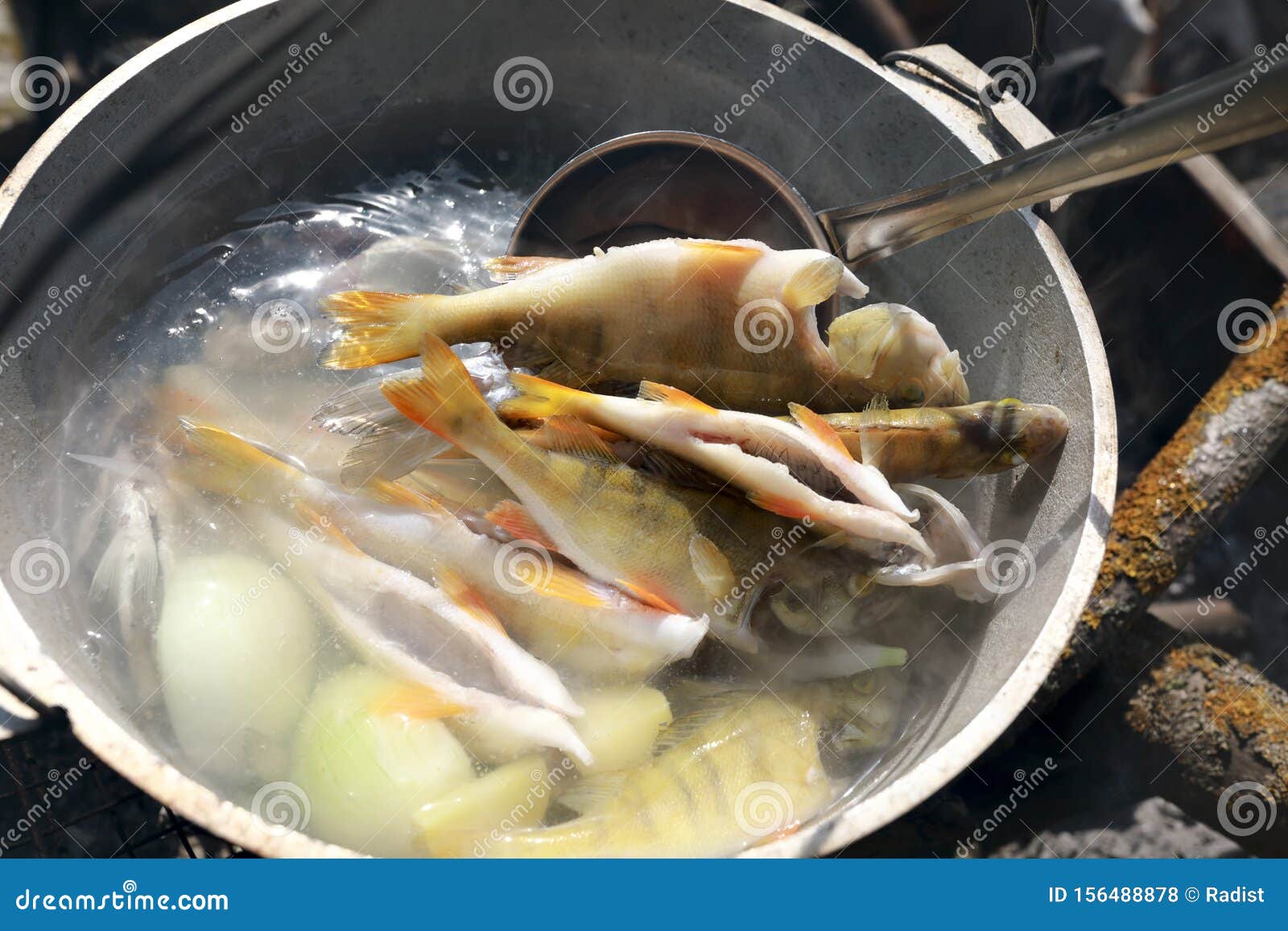 Cooking river fish soup stock photo. Image of fire, appetizing - 156488878