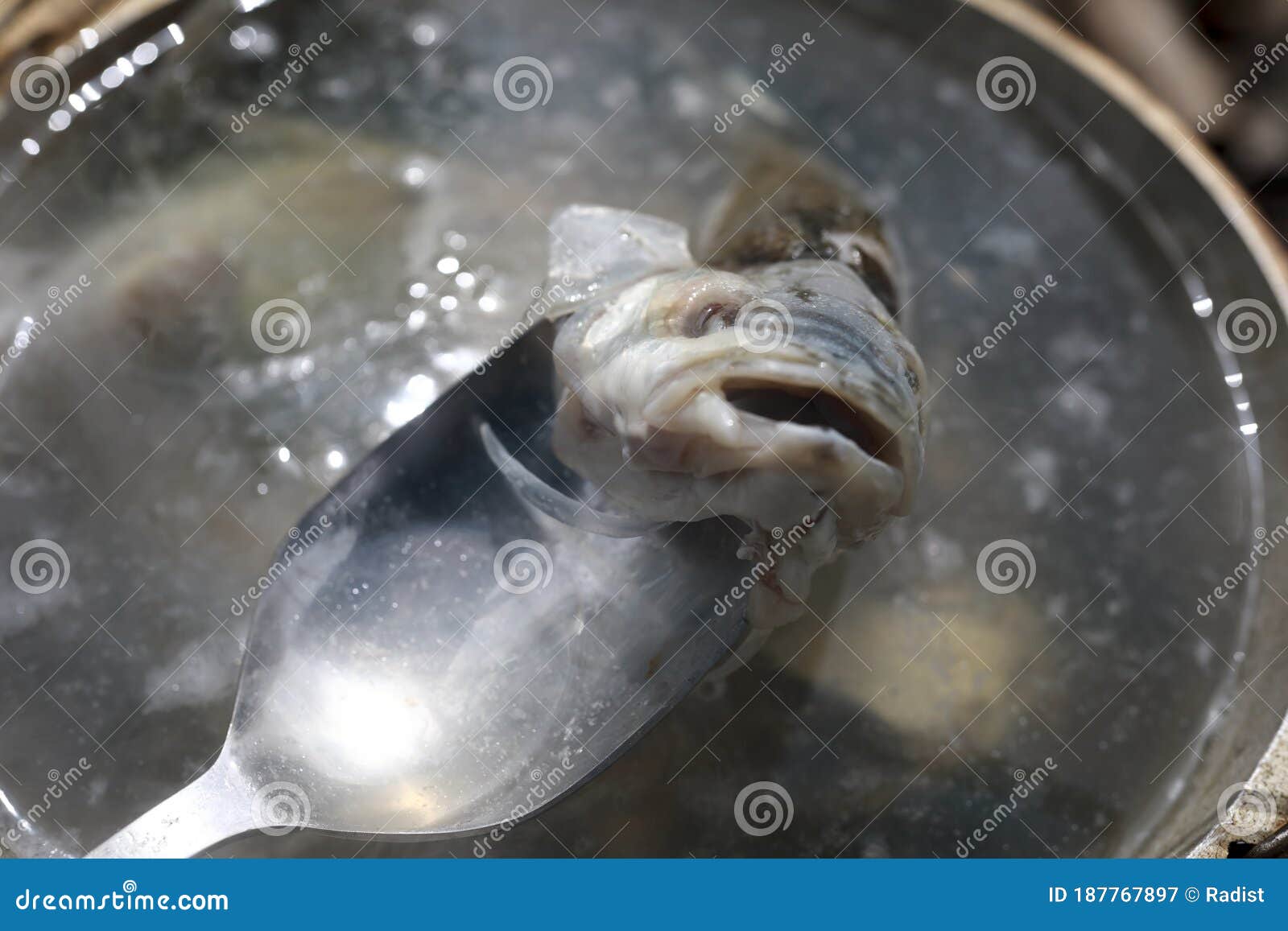 Russian Fish.Sliced Dried Salted Freshwater Fish Carp, Which Is ...