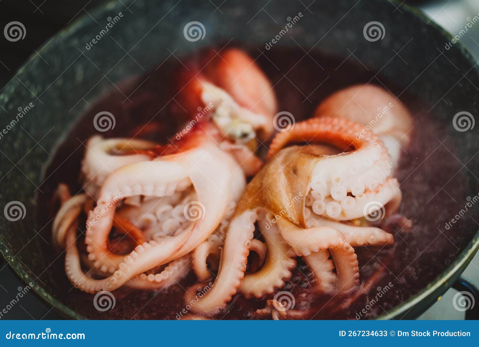 Cooking small octopuses stock image. Image of lunch - 267234633