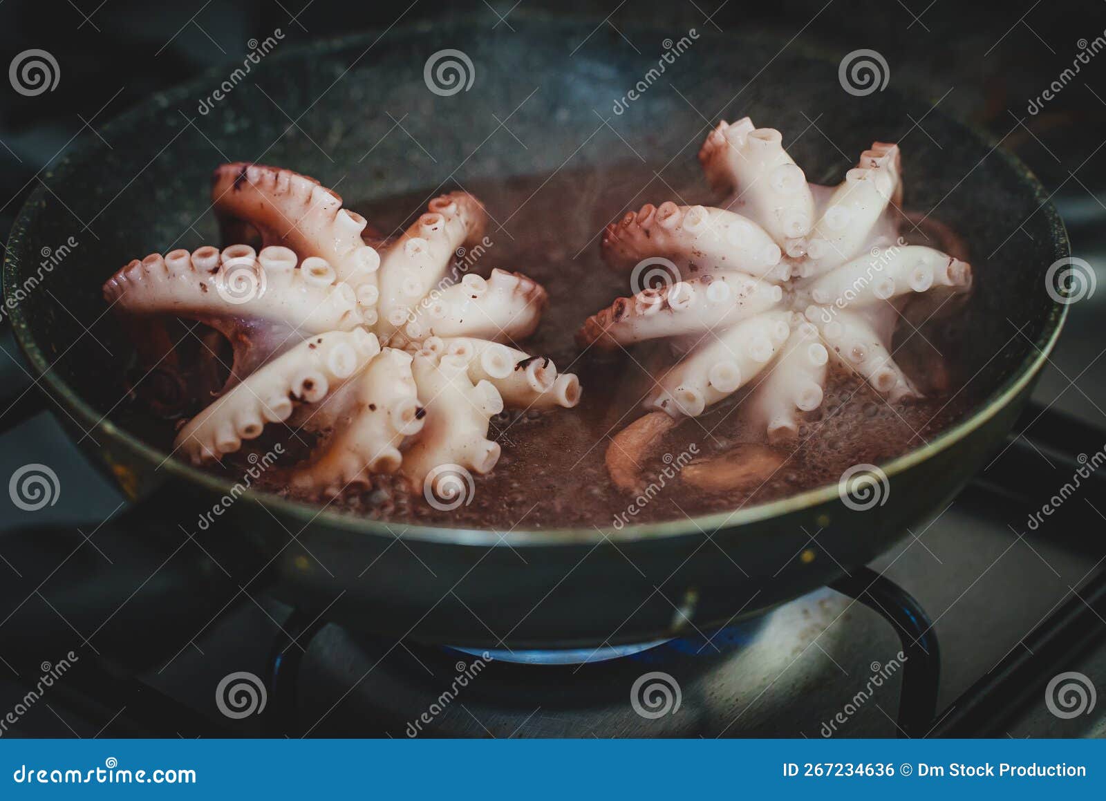 Cooking small octopuses stock photo. Image of korean - 267234636