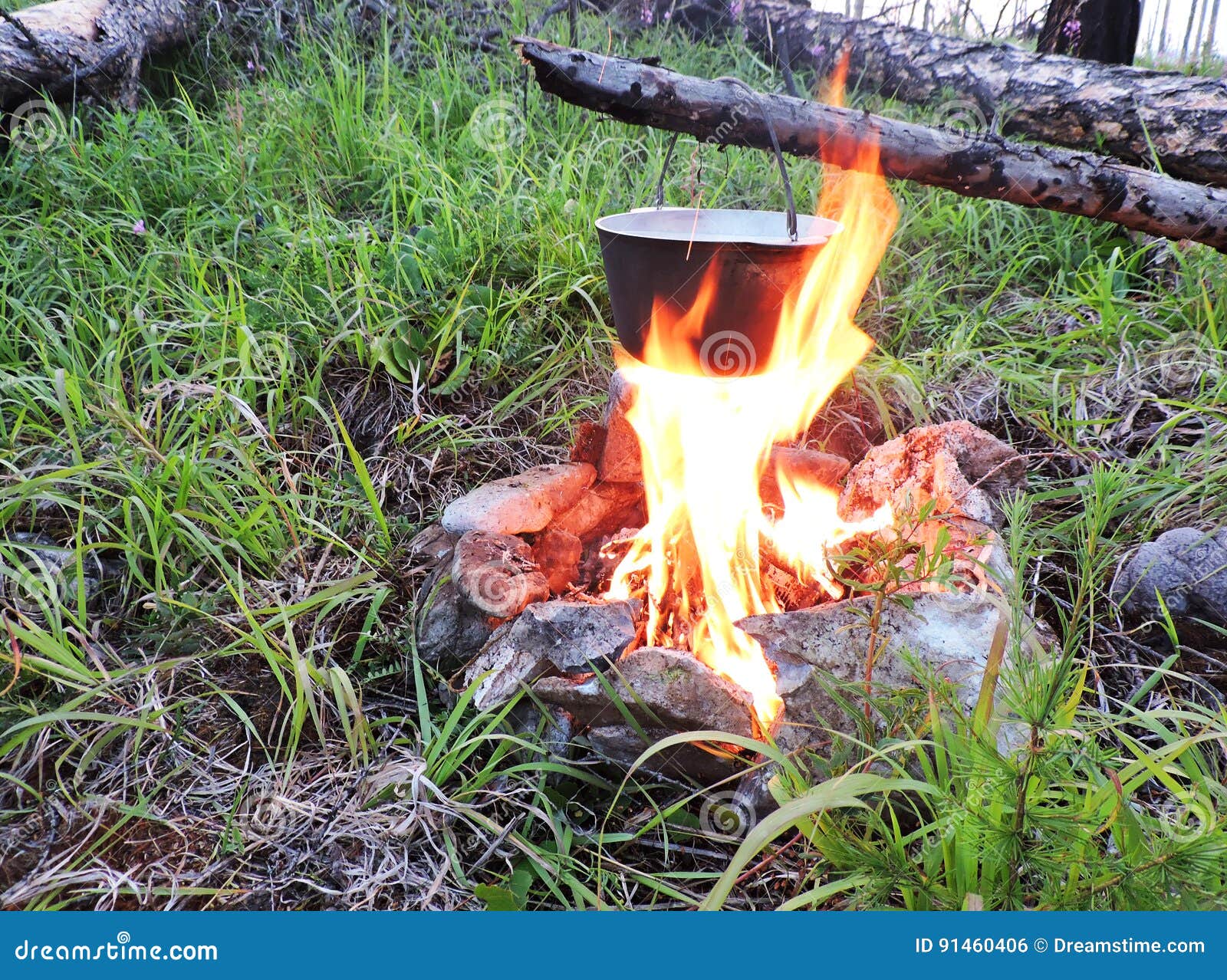 Cooking at the stake stock photo. Image of green, cauldron - 91460406