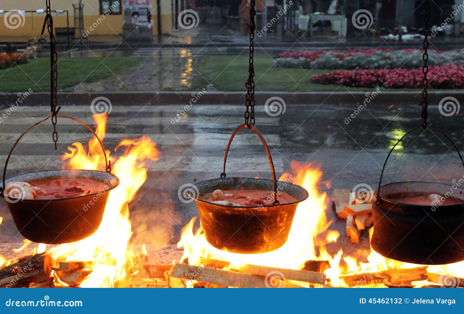 Cooking stew stock photo. Image of ground, homemade, onions - 45462132