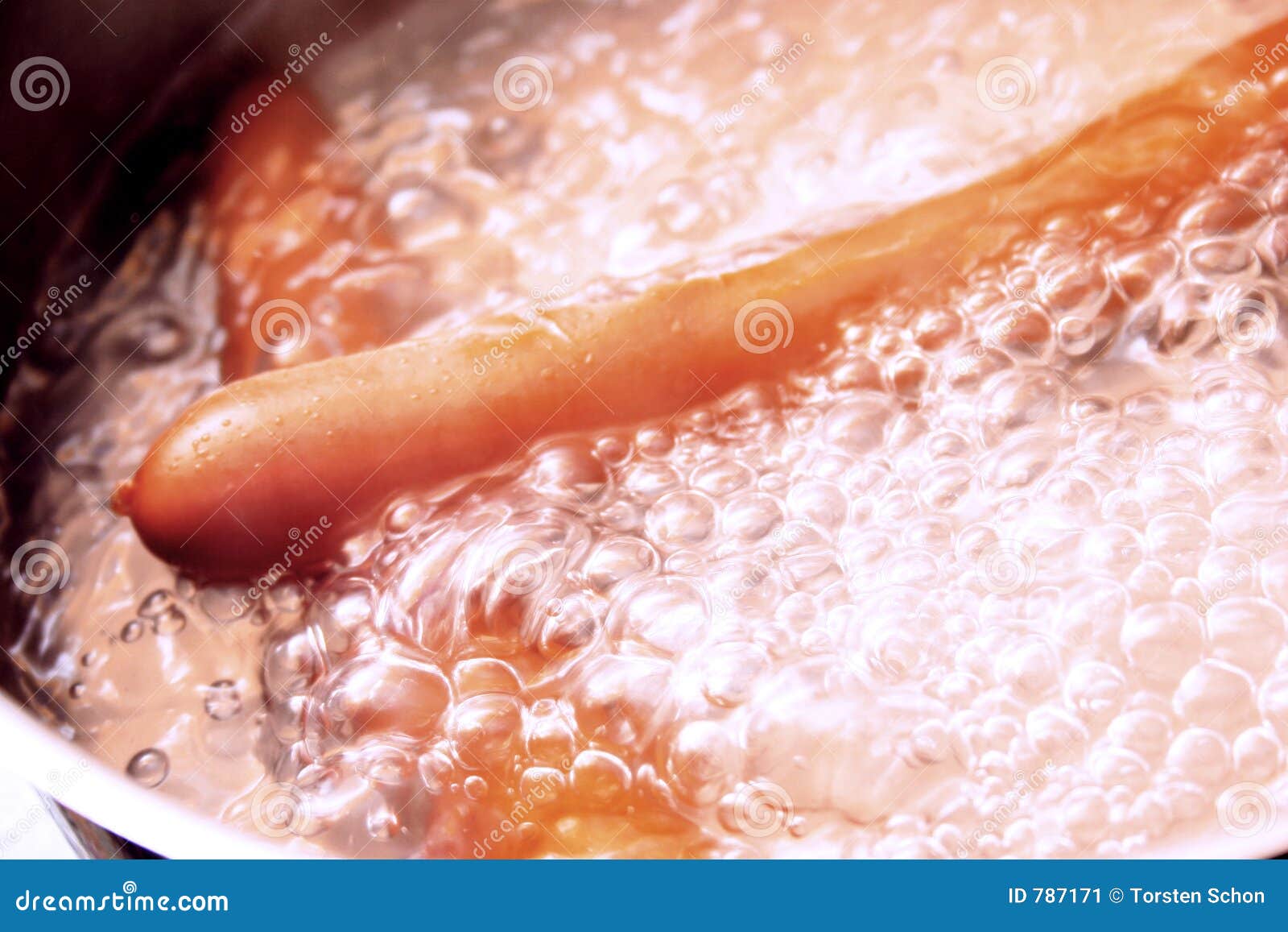 Long Wiener Dog Royalty-Free Stock Image | CartoonDealer.com #11167048