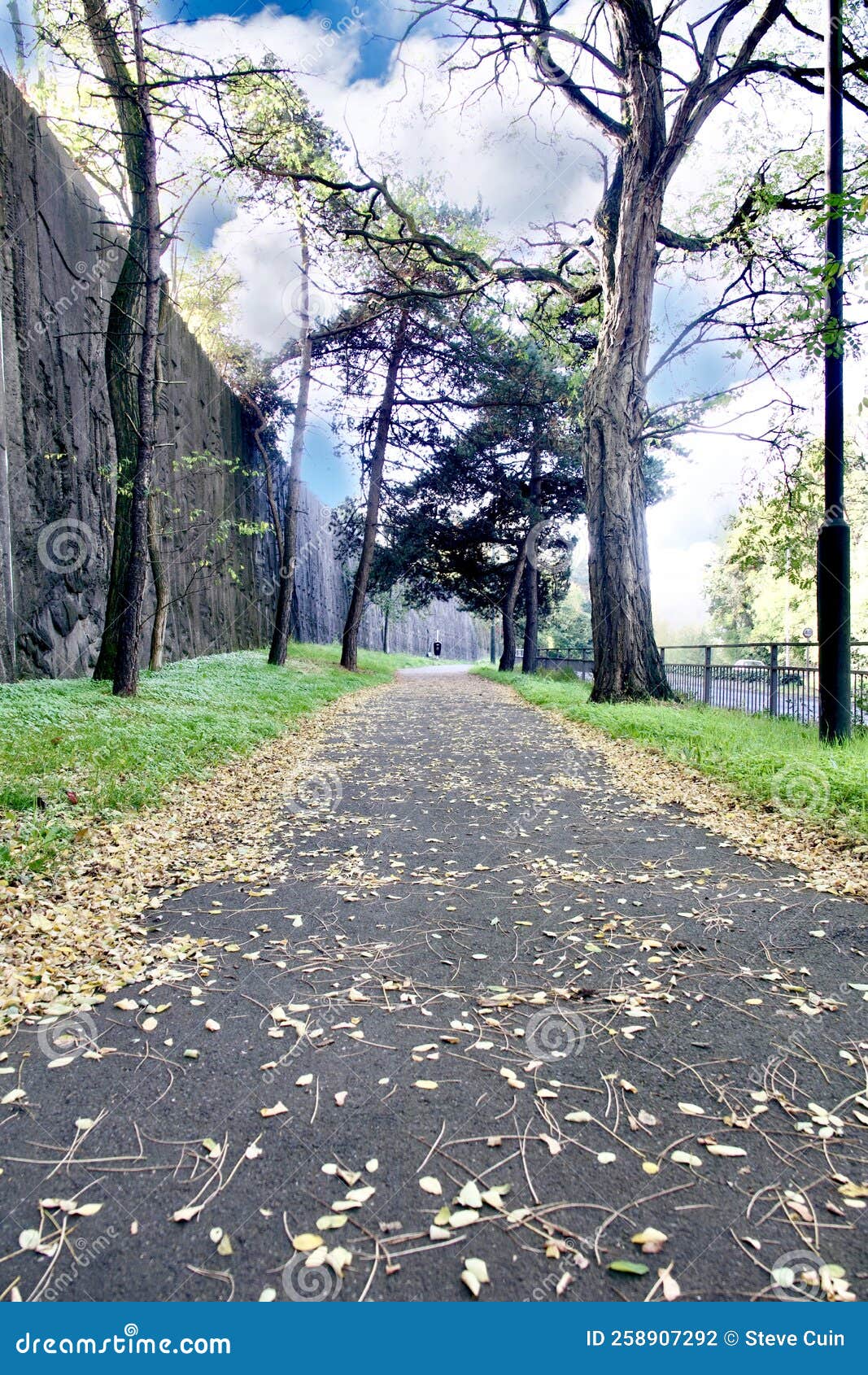 Pathway stock photo. Image of view, trees, abstract - 258907292