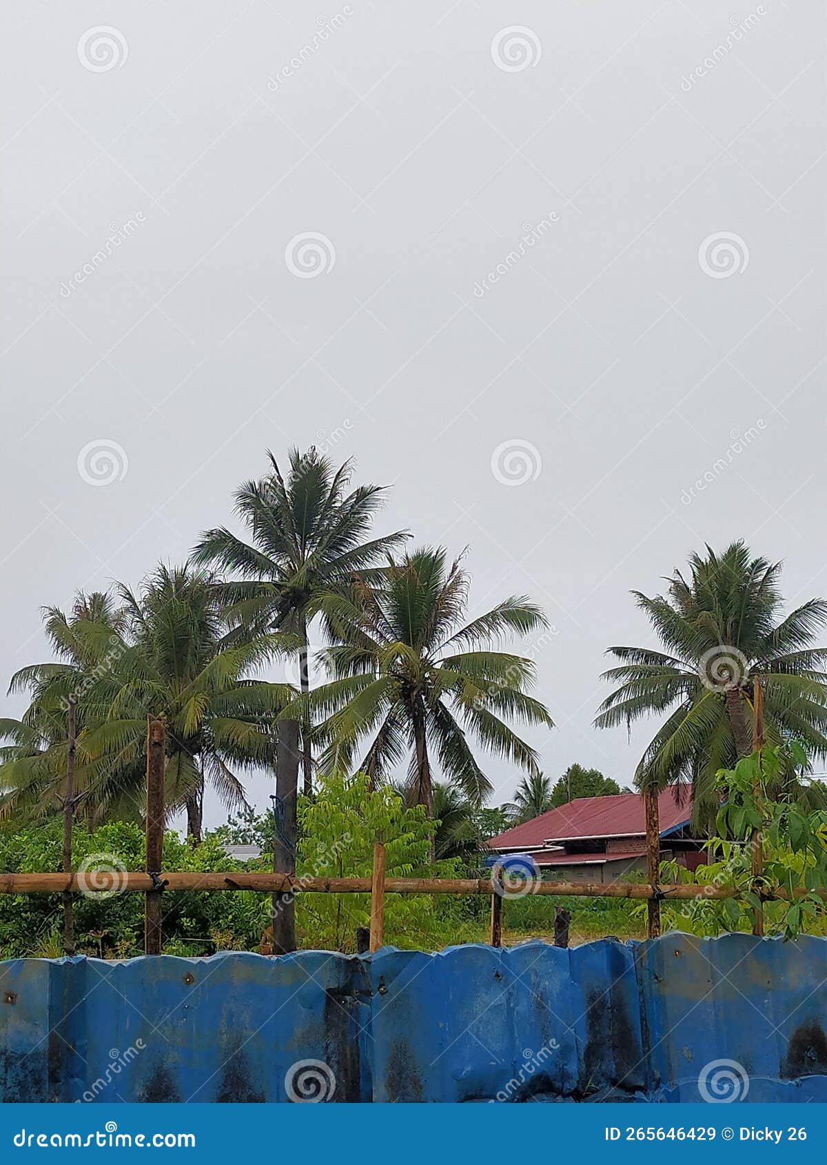 Really Cool Air on a Small Island at the Tip of Indonesia Stock Image ...