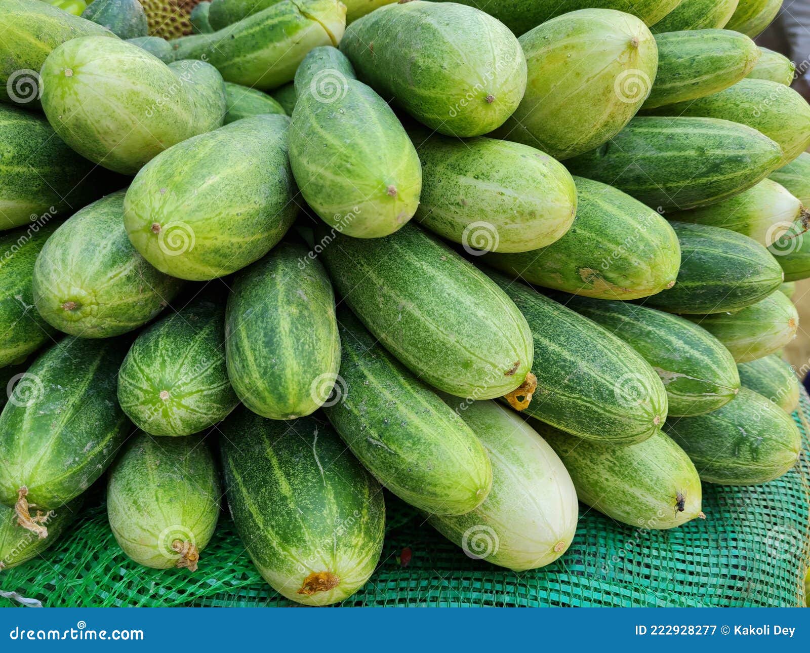 Cool as cucumber stock image. Image of considered, cucumber - 222928277