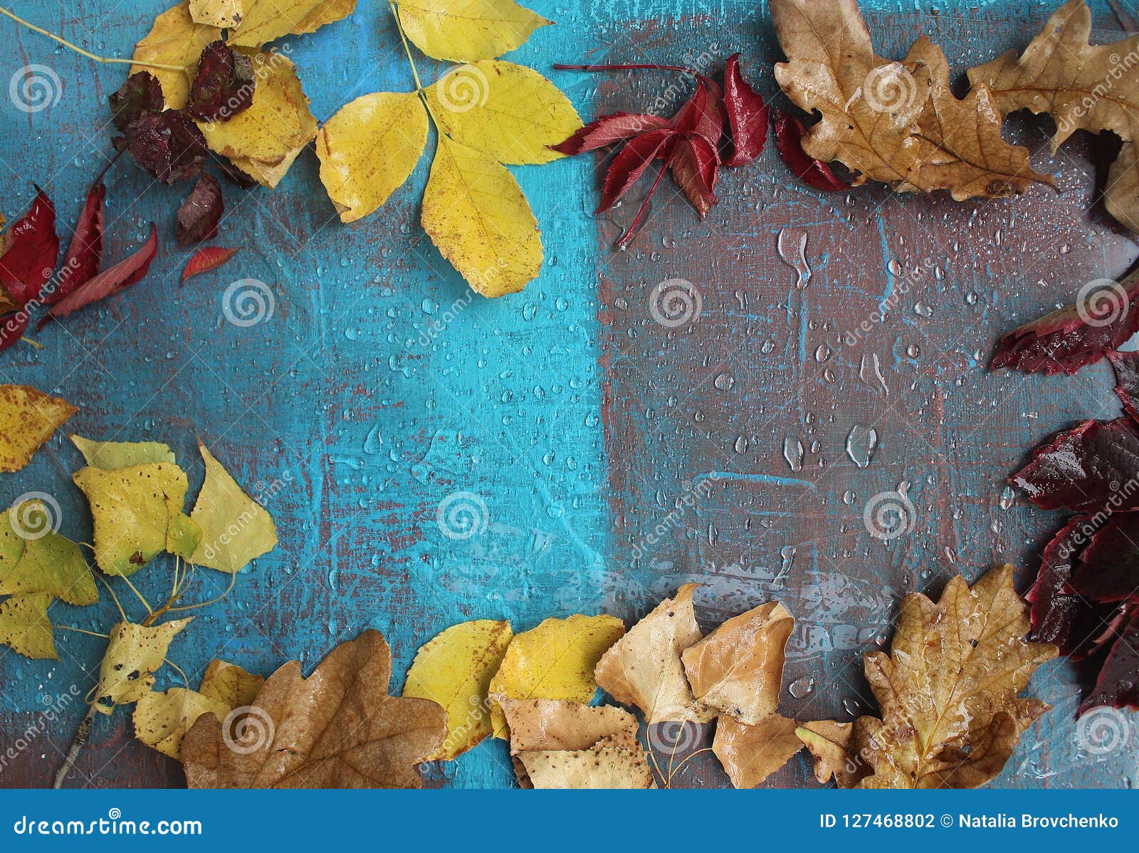 Cool Autumn and Rain, a Little Blue Paint Stock Photo - Image of ocher ...