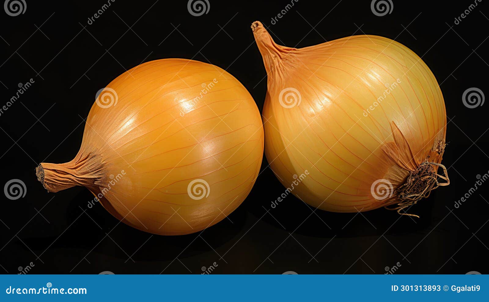 Cool Beautiful Modern Onions Artwork, Photoshooting Style Stock ...