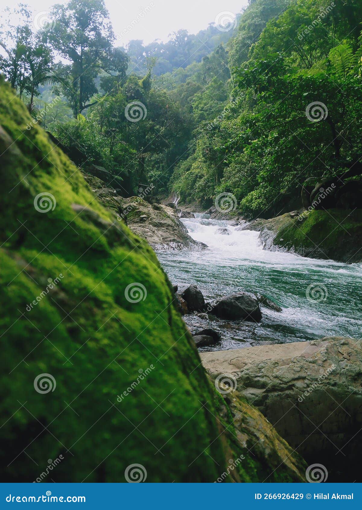 Cool and beautiful river stock image. Image of rock - 266926429