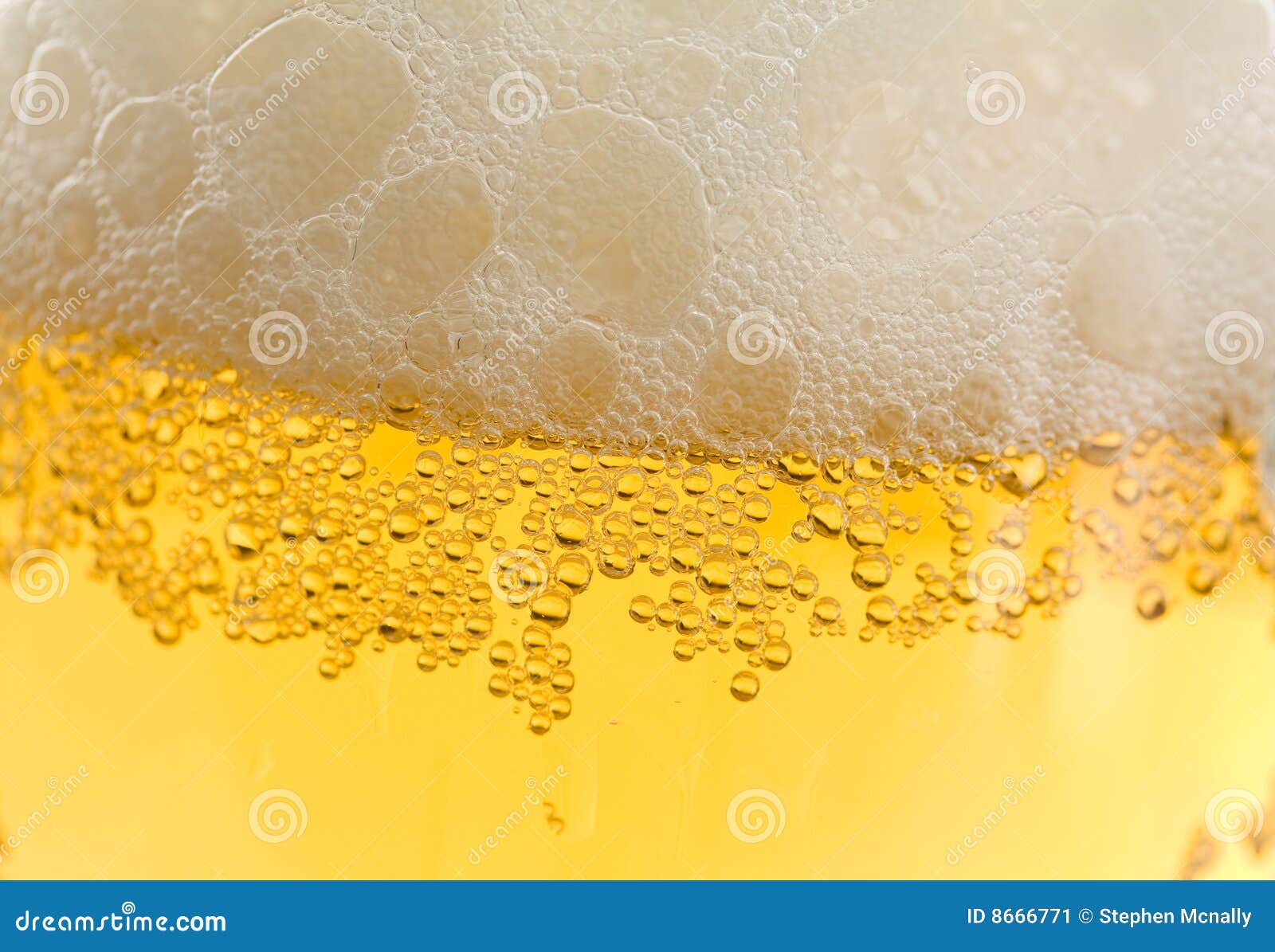 Cool beer stock image. Image of liquid, bubbles, restaurant - 8666771