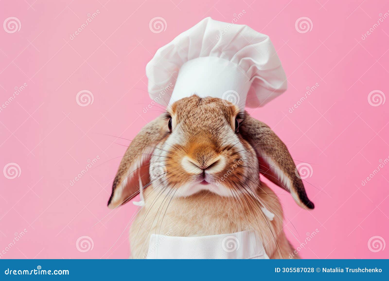 Cool Bunny Wearing Chef Uniform. Rabbit Chef with Hat in Kitchen. Funny ...
