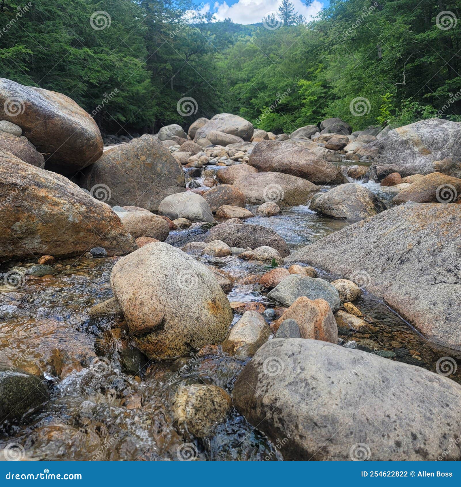 Cool and calm waters stock photo. Image of rapid, valley - 254622822