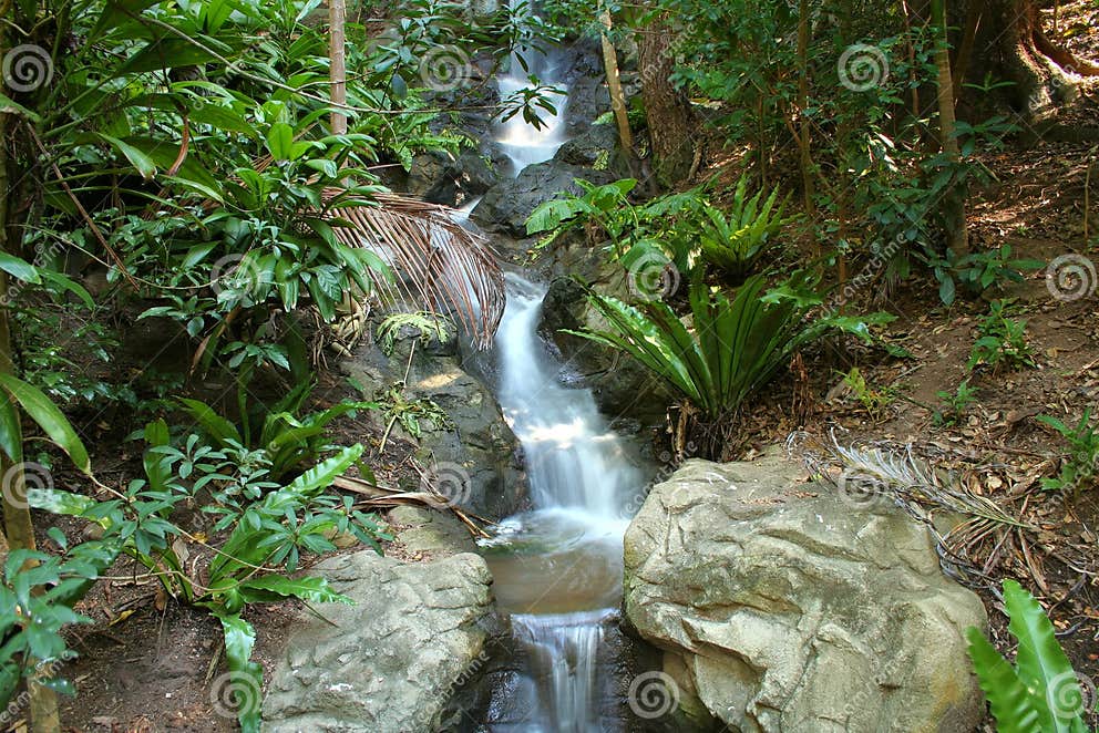 Cool Cascade stock photo. Image of jungle, rainforest - 1082692