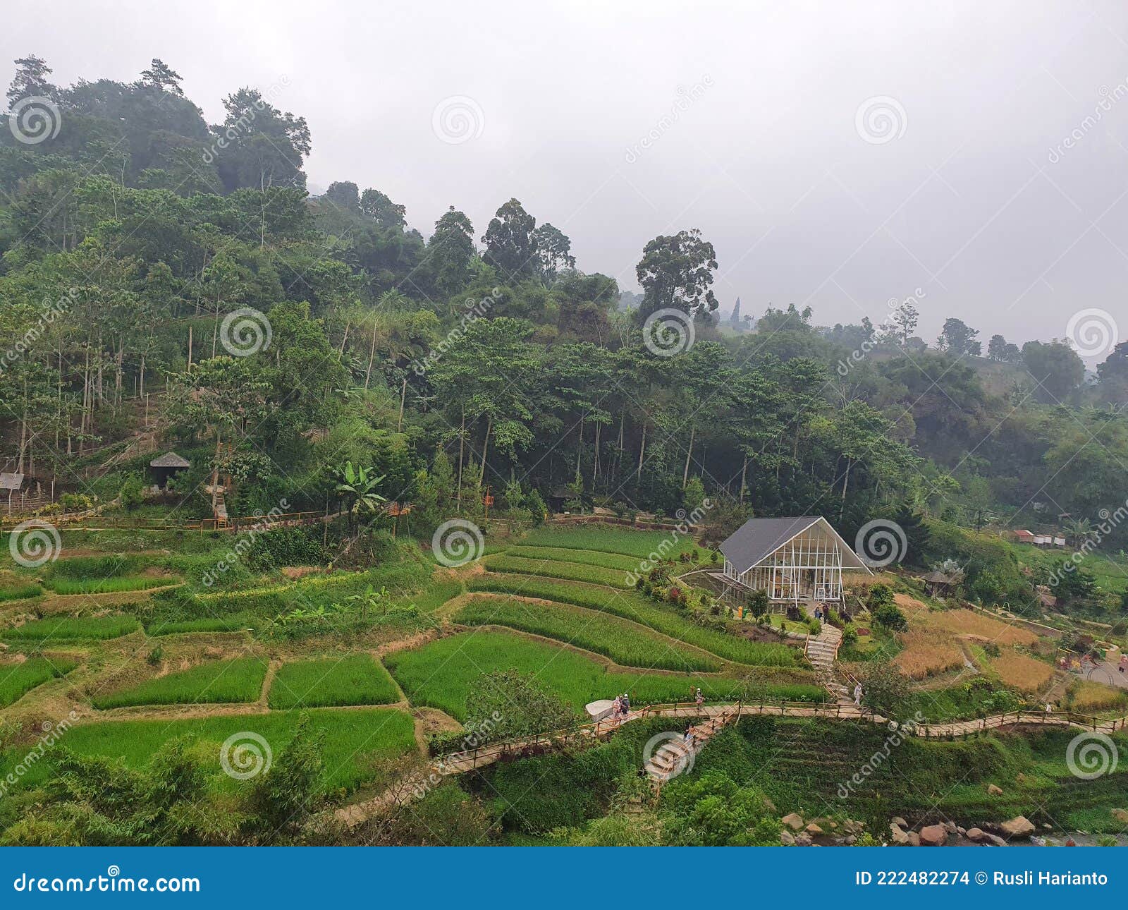 Cool Chapel by the Rice Paddy Stock Photo - Image of ricepaddy, cool ...