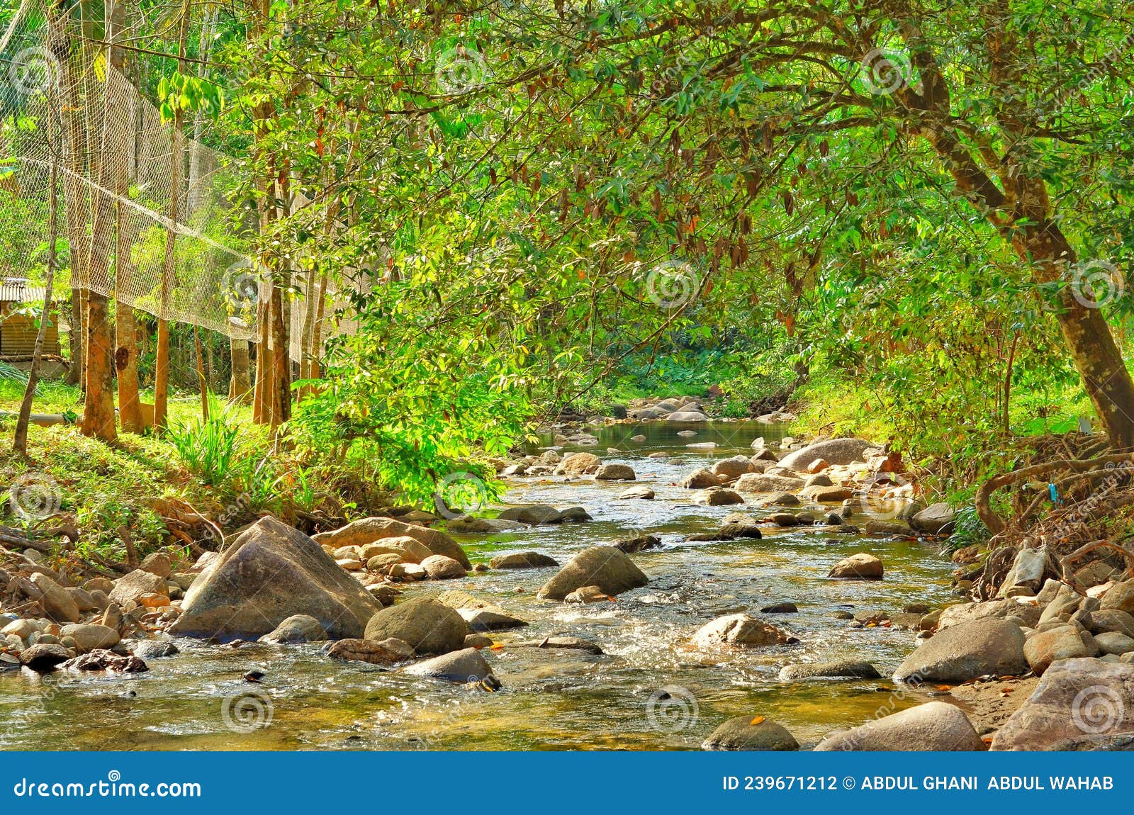 Cool Clear Water from Water Fall, Long River Stock Photo - Image of ...