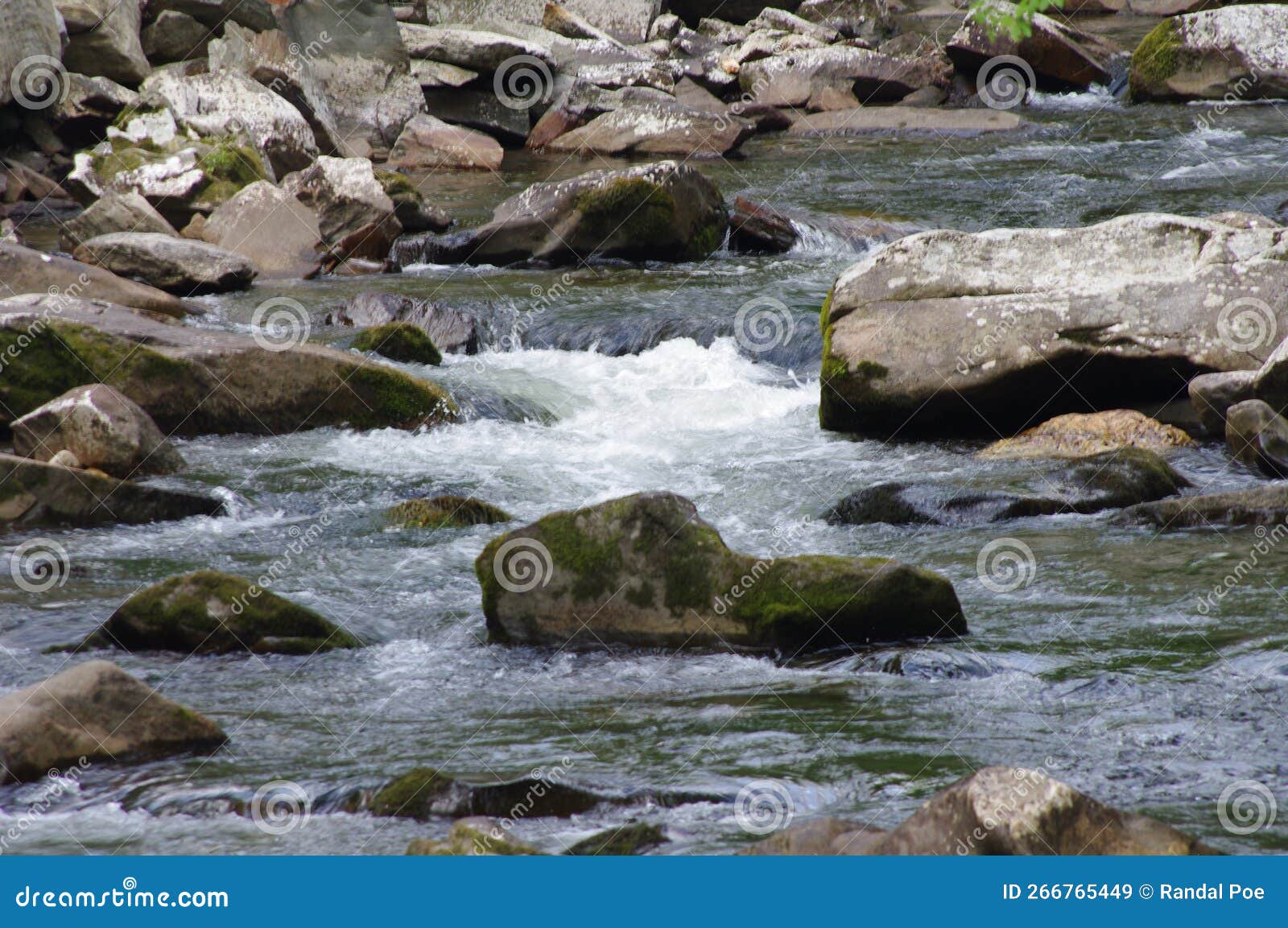 Free running stream stock image. Image of nature, rapid - 266765449