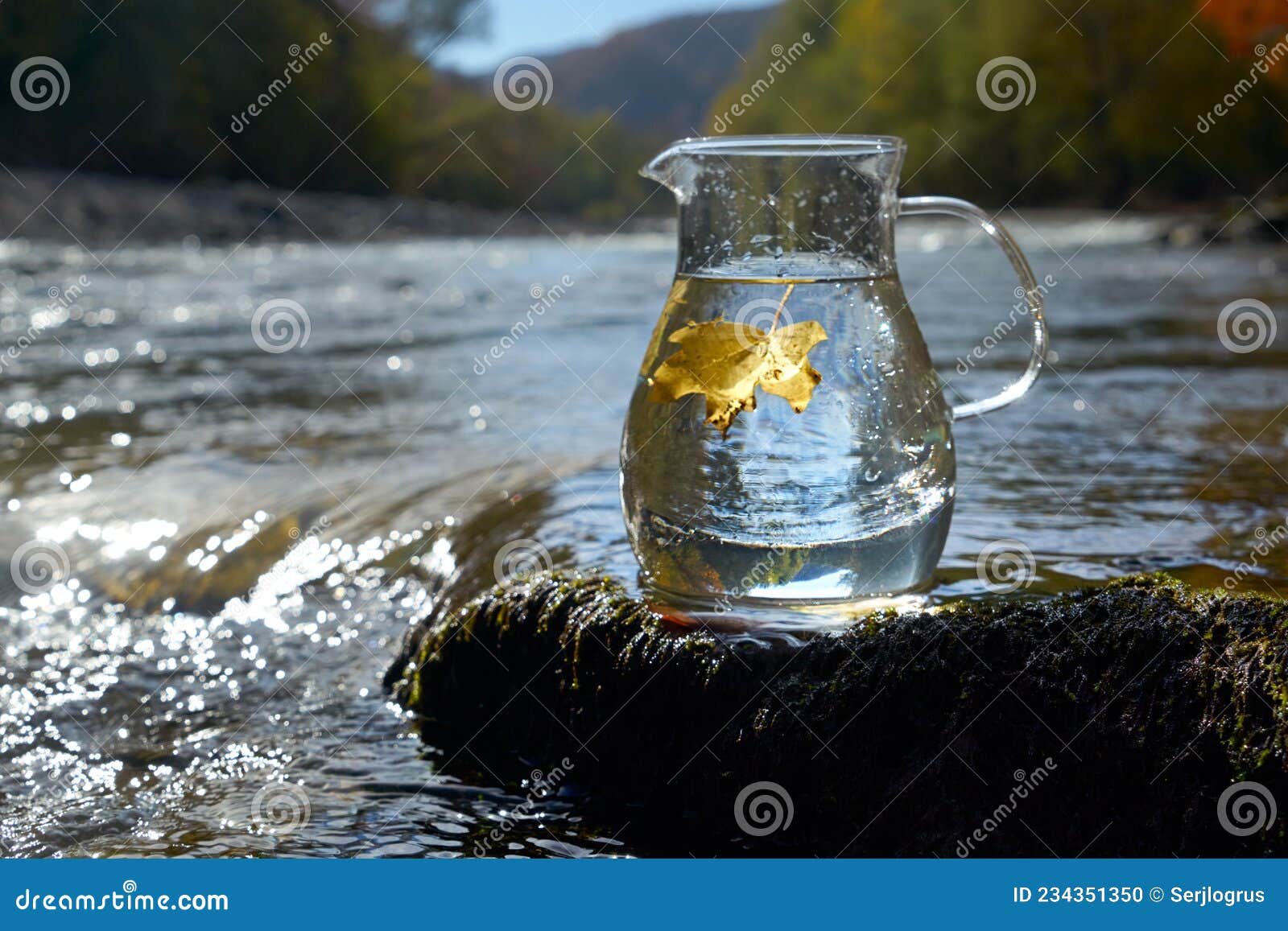 Cool Clear Water of the Mountain River Stock Photo - Image of drinkable ...